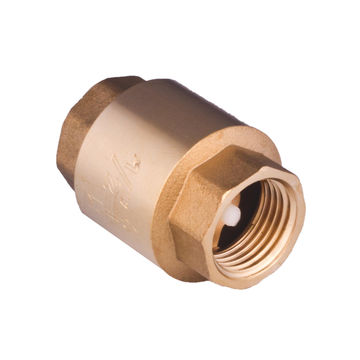 Non return valve check valve spring type 25mm female thread | LEROY ...