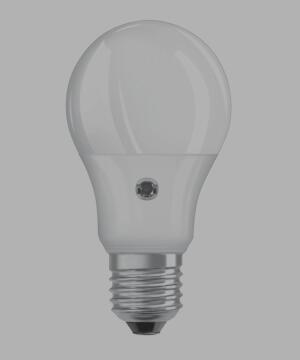 led light bulb 6.5w E27 cool white day/night sensor | LEROY MERLIN ...