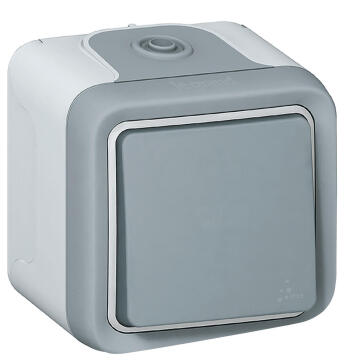 Switch waterproof IP55 LEGRAND 1 lever 2 way | LEROY MERLIN South Africa