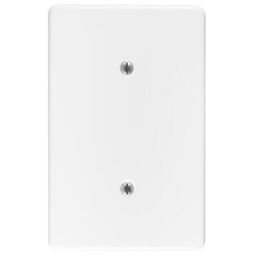 Blank cover plate CRABTREE white 2x4 | LEROY MERLIN South Africa