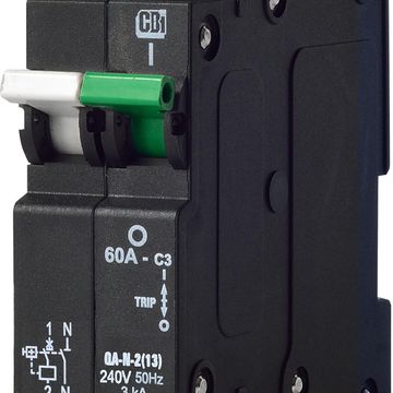 Main Switch CBI ELECTRIC 60Amp | LEROY MERLIN South Africa