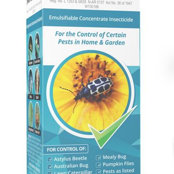 Malasol Insect Control EFEKTO 100ml | LEROY MERLIN South Africa