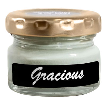 Tjhoko paint 25ml gracious | Leroy Merlin South Africa